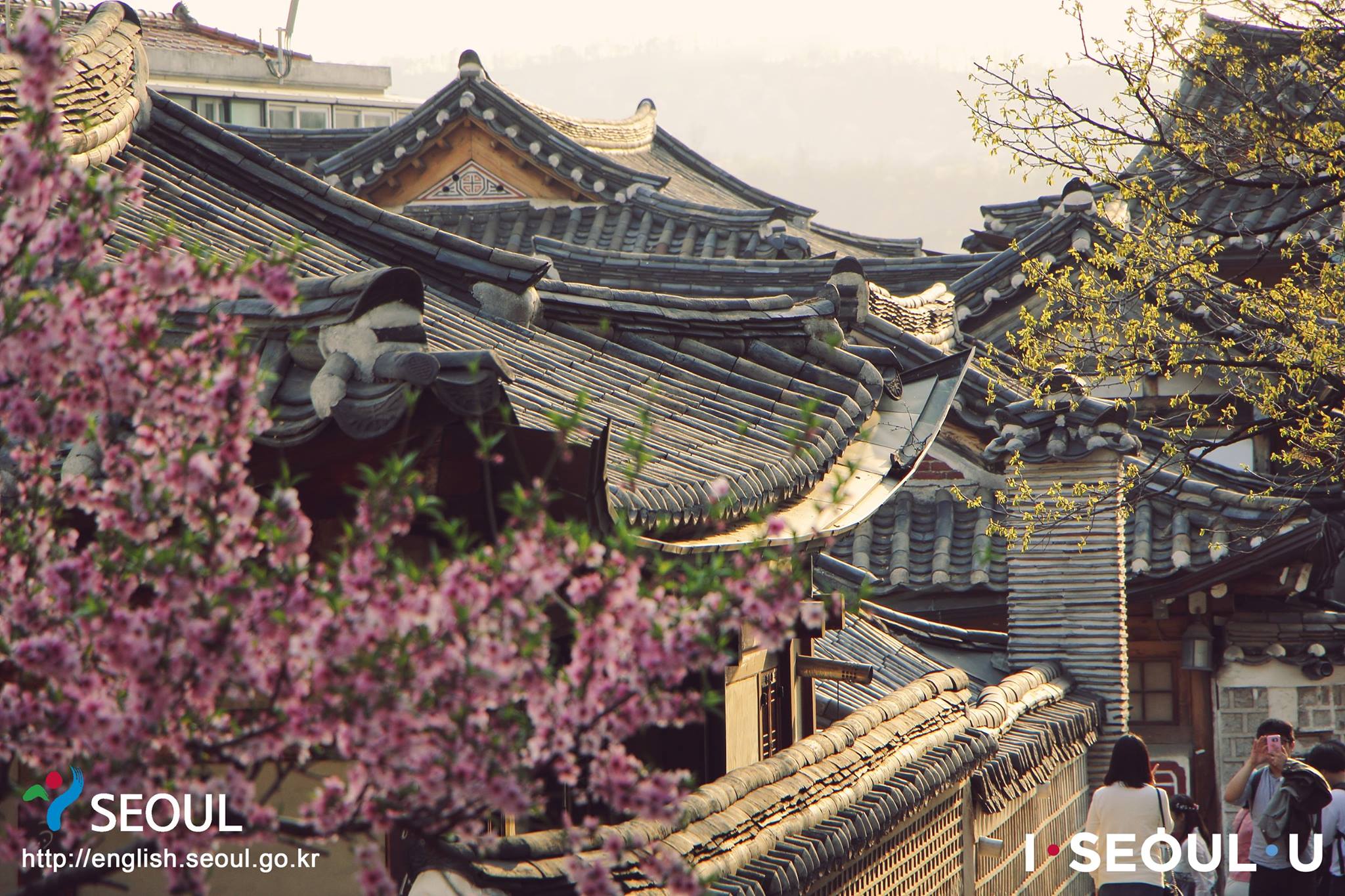 Experience traditional Korean lifestyle by staying in Korean Hanok