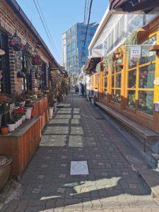 Filming locations in Korea of K-drama True Beauty | KoreaTravelPost