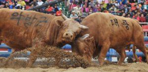 Celebrating Chuseok: Best Things to Do in South Korea | KoreaTravelPost