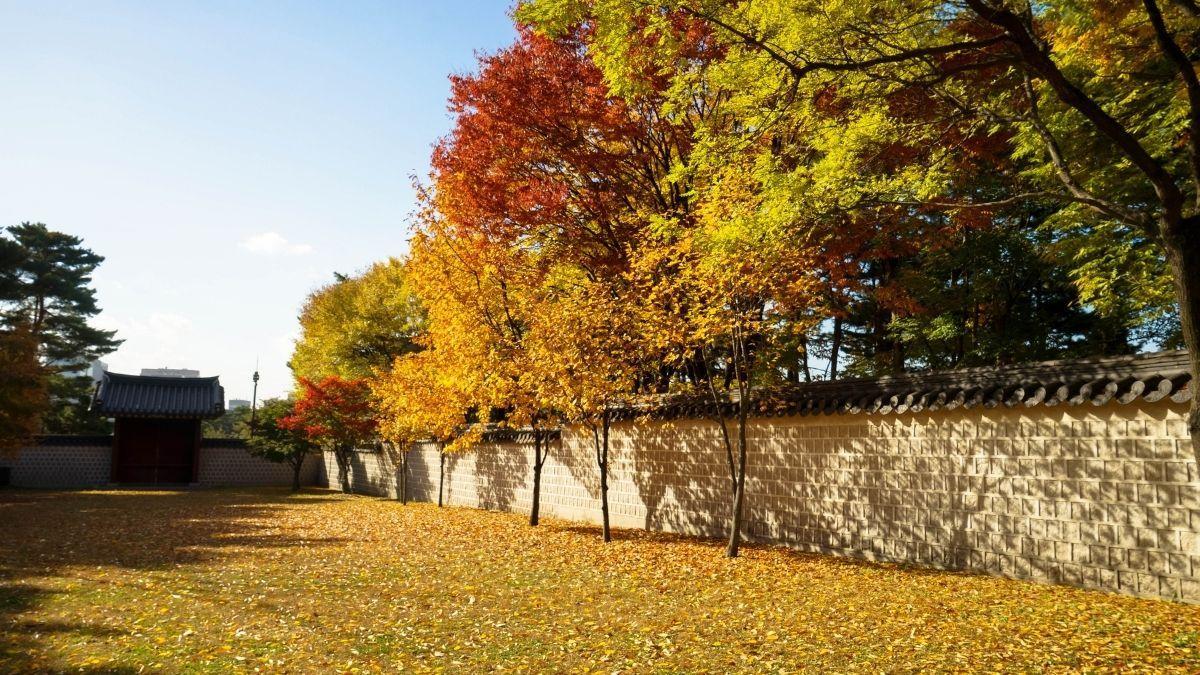 5 Places to Explore Around Seoul During the Fall | KoreaTravelPost