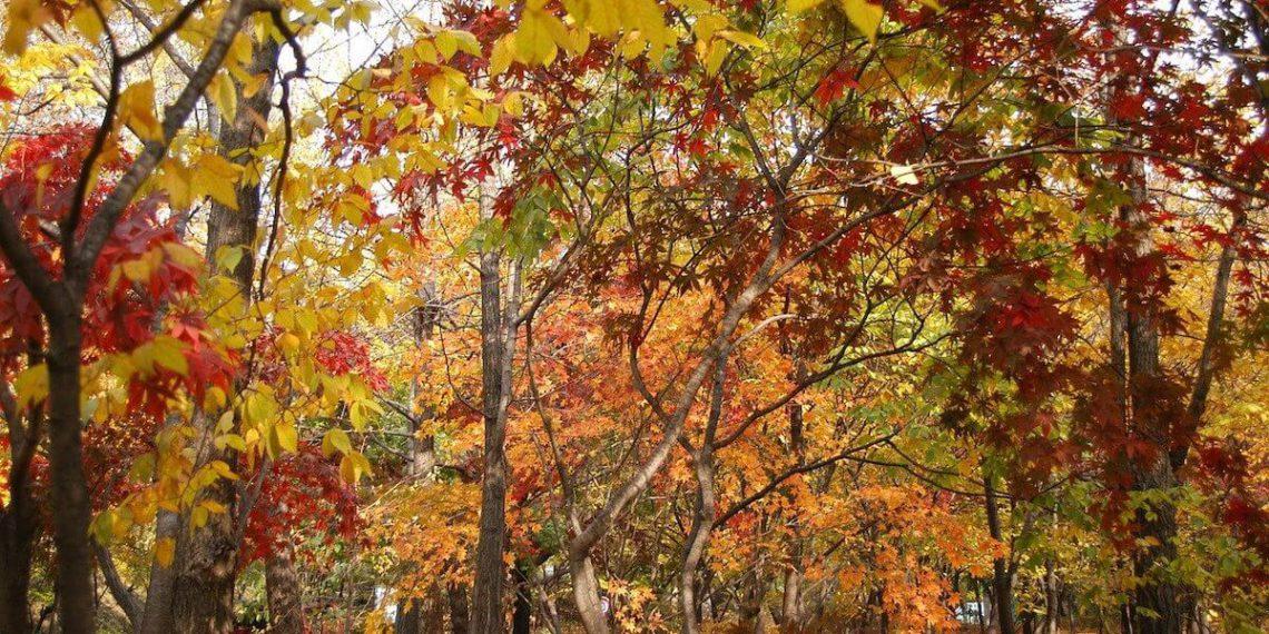 Tourist Spots in Jeolla-do from Korea's 100 Must-Visit | KoreaTravelPost