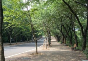 Best Places to Visit in Incheon for Nature Lovers | KoreaTravelPost