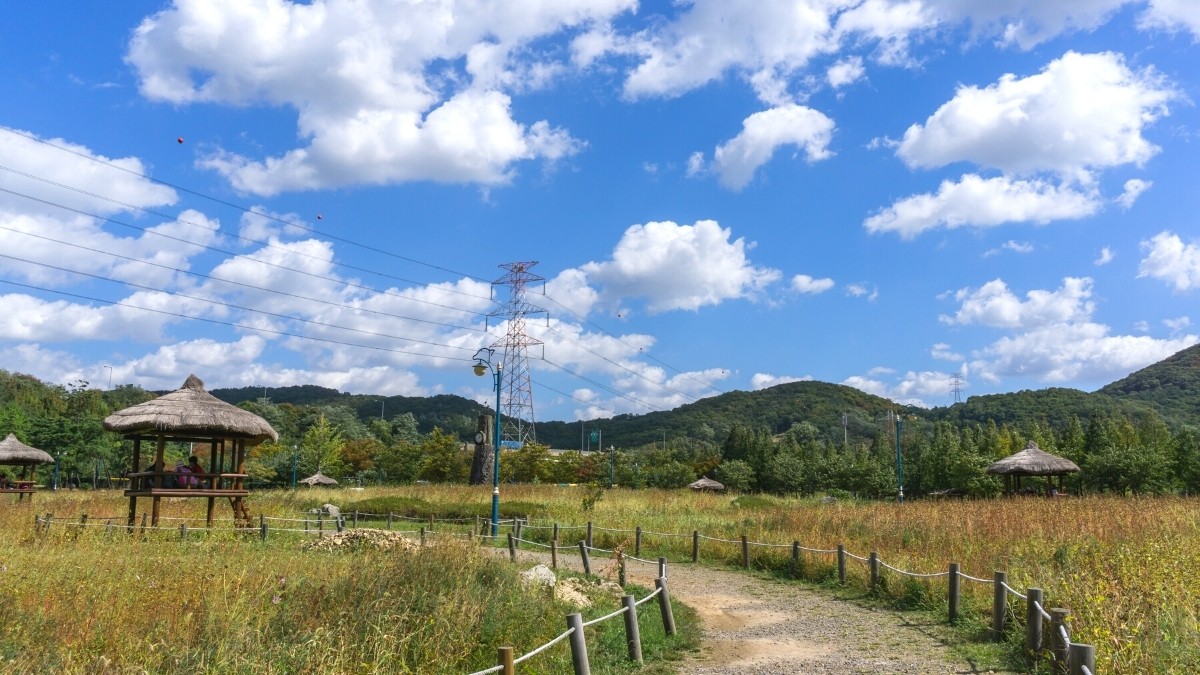 Best Places to Visit in Incheon for Nature Lovers | KoreaTravelPost