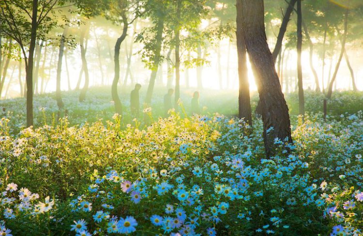 Tourist Spots in Jeolla-do from Korea's 100 Must-Visit | KoreaTravelPost