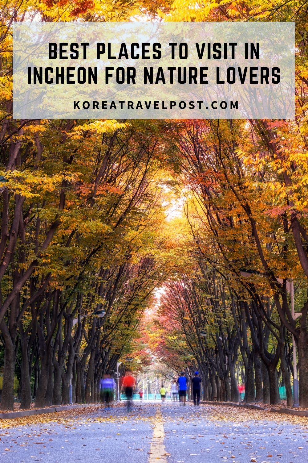 Best Places to Visit in Incheon for Nature Lovers | KoreaTravelPost