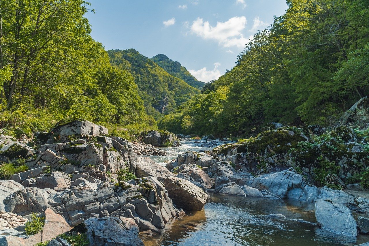 Cool Down In These Gorgeous Valleys In Busan | KoreaTravelPost
