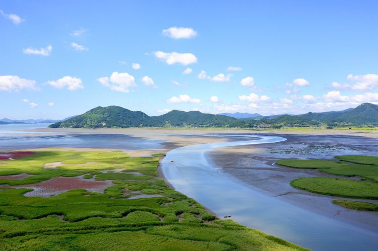 Top Things to Do in Suncheon Bay | KoreaTravelPost