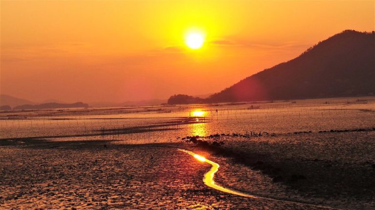 Top Things to Do in Suncheon Bay | KoreaTravelPost