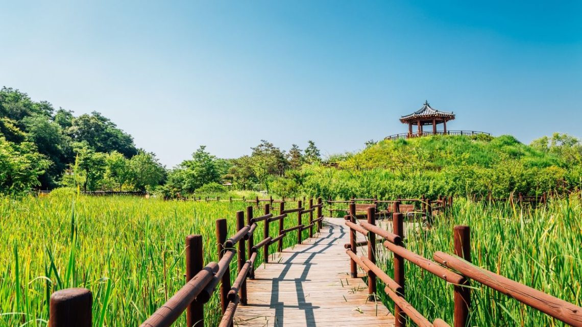 A Guide to Incheon's Wolmido Island | KoreaTravelPost