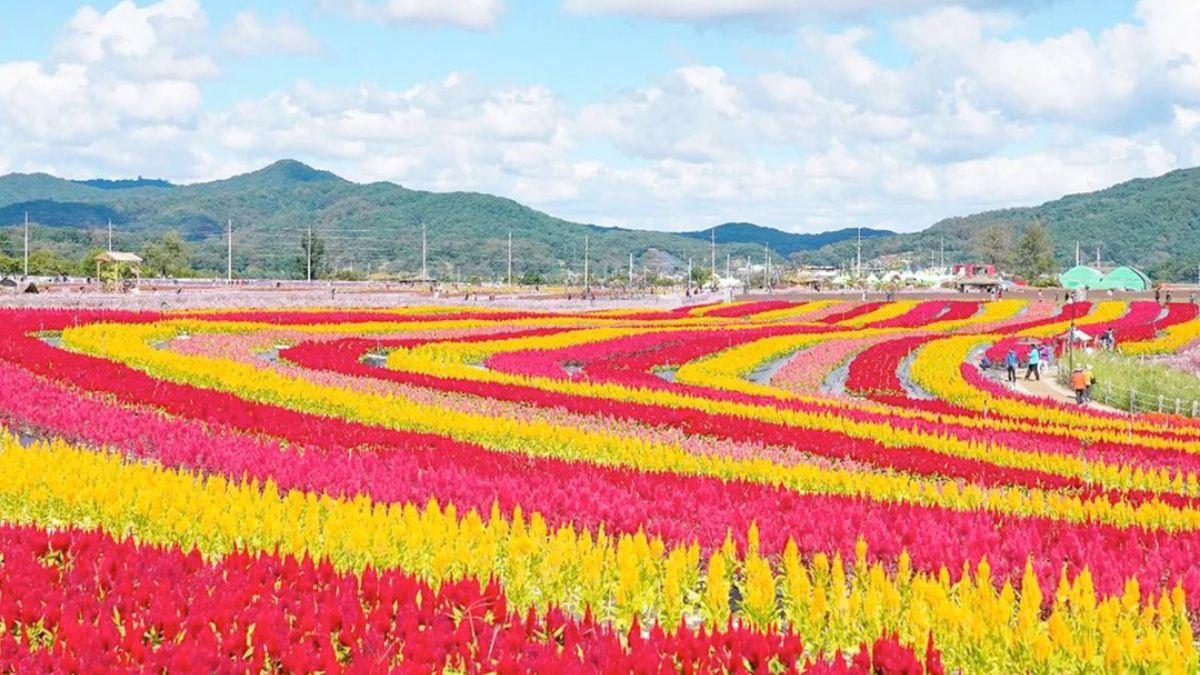 Cheorwon - Scenic Sights to Check Out | KoreaTravelPost