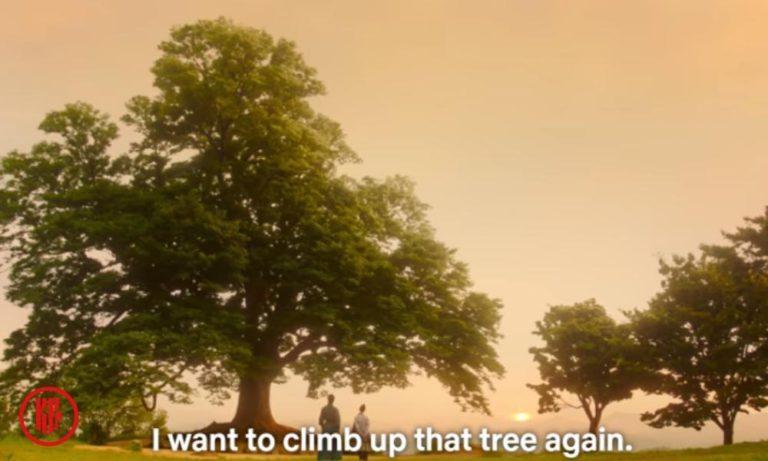 How to Visit the Love Tree from 'Alchemy of Souls' | KoreaTravelPost