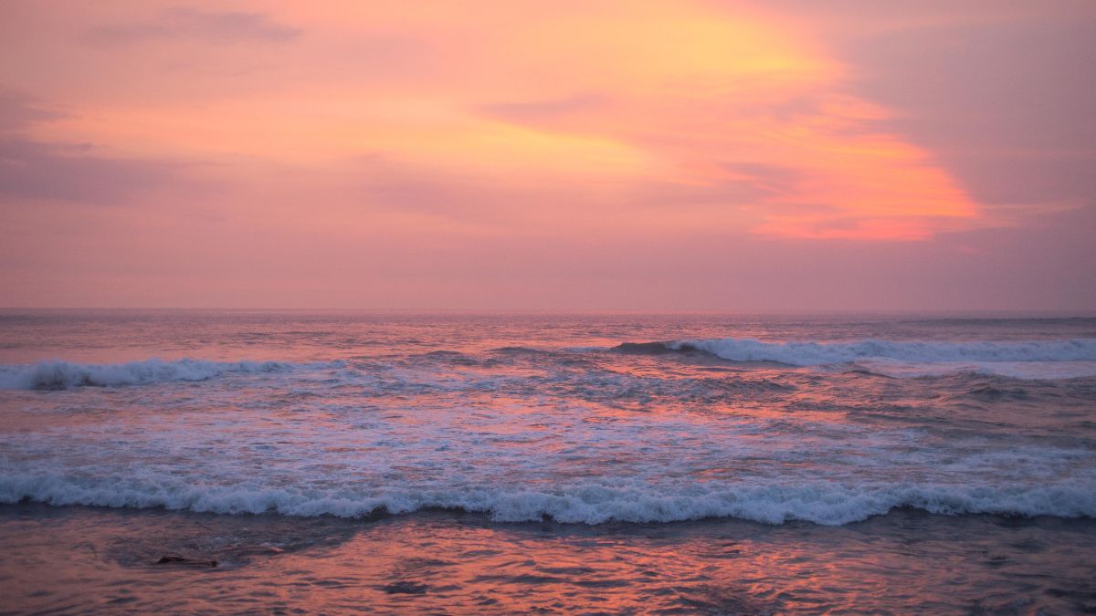 All You Need to Know About the Yangyang Surfyy Beach | KoreaTravelPost