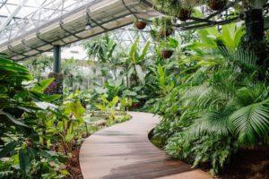 Visiting Seoul Botanic Park - A Perfect Place to Visit All Year Round | KTP