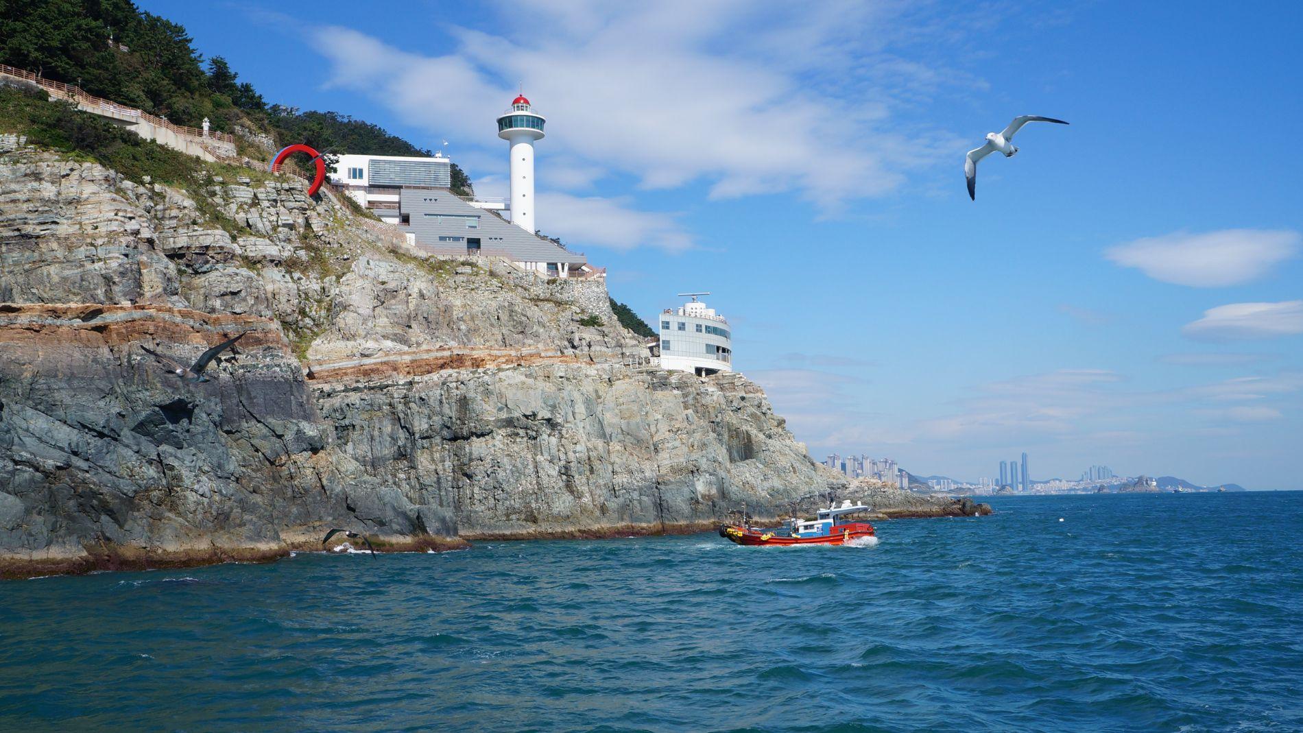 From Cherry Blossoms to Beaches: 10 Springtime Gems in Busan | KTP