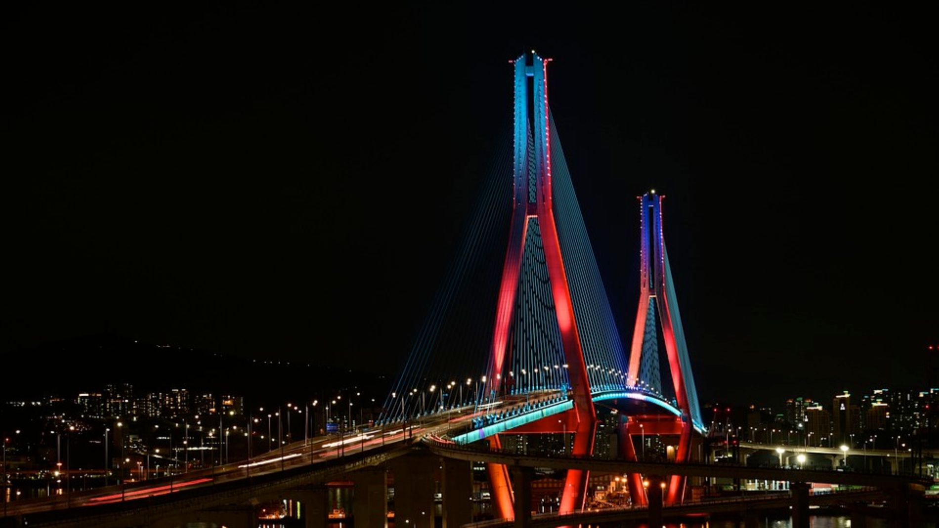 Starry Night in Busan: Experience the Magic of Korea's Nightlife | KTP