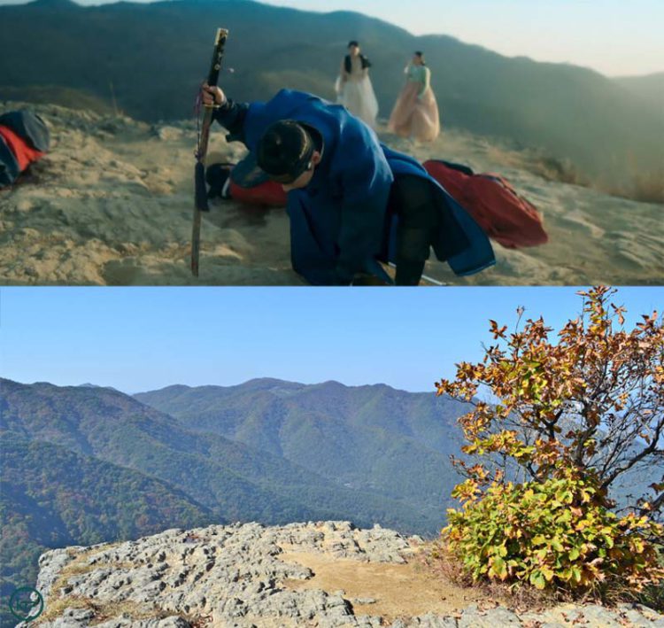 Dive into The Uncharted Filming Locations of “A Good Day to be A Dog ...