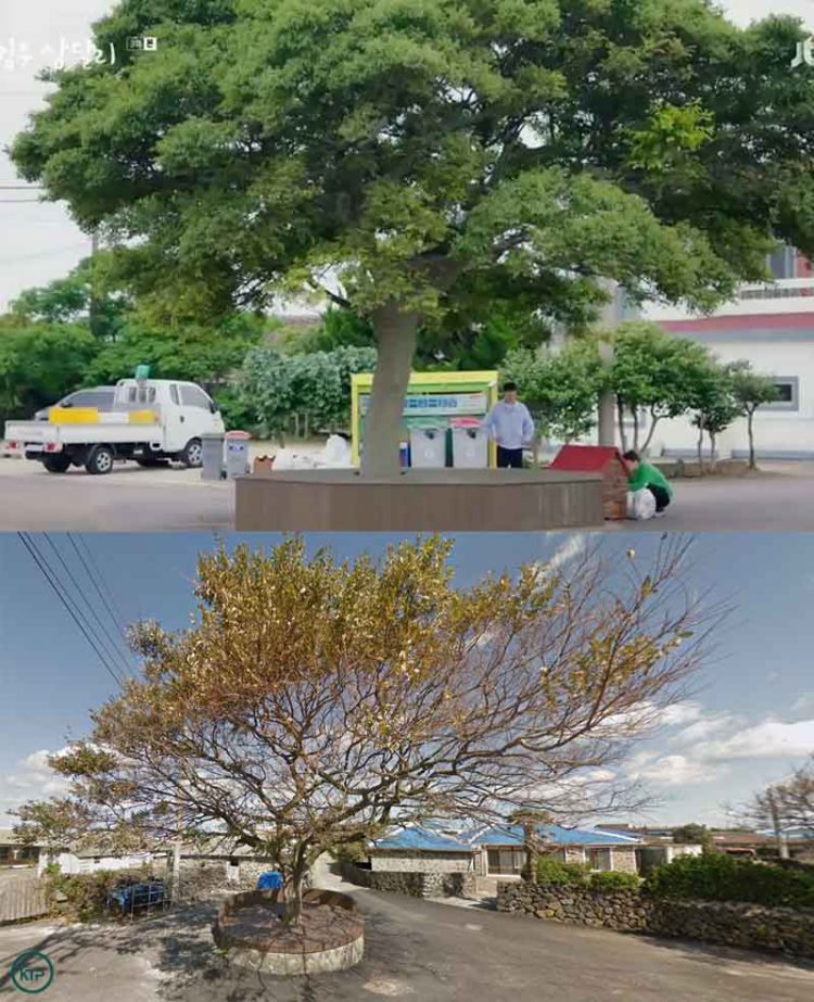 Discover the Captivating Filming Locations of “Welcome to Samdalri ...