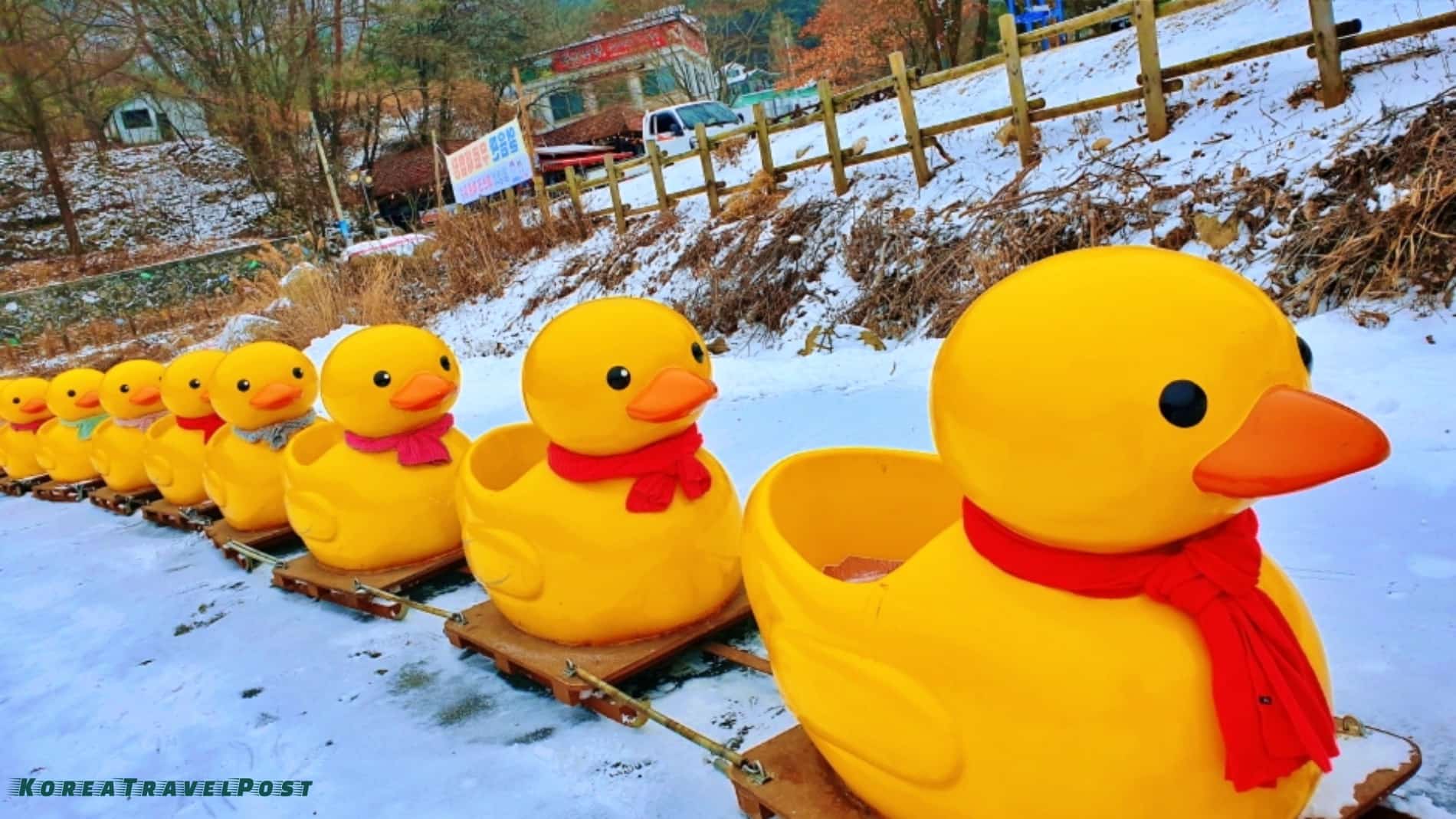 Winter Fun: Experience the Exciting Activities at the Sanjeong Lake ...