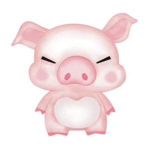 The Korean Zodiac: Decoding Destiny & Unveiling Culture| KTP