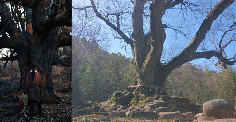 Dive Into the Shamanic Universe of “Exhuma” Through These Famous ...