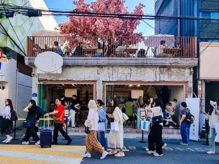 Have a BEAR-tastic Taste at Dalim Bread Bakery Cafe, Seoul! | KoreaTravelPost