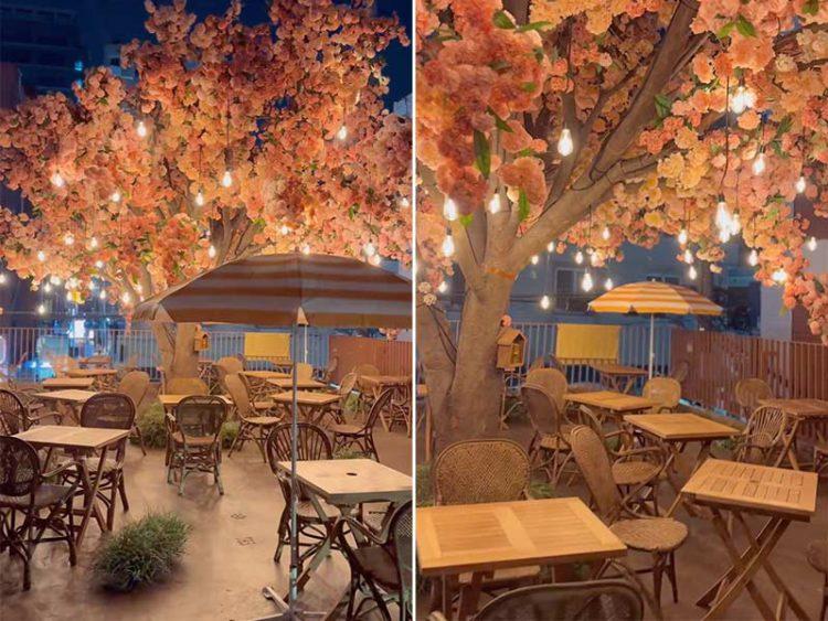 Have a BEAR-tastic Taste at Dalim Bread Bakery Cafe, Seoul! | KoreaTravelPost