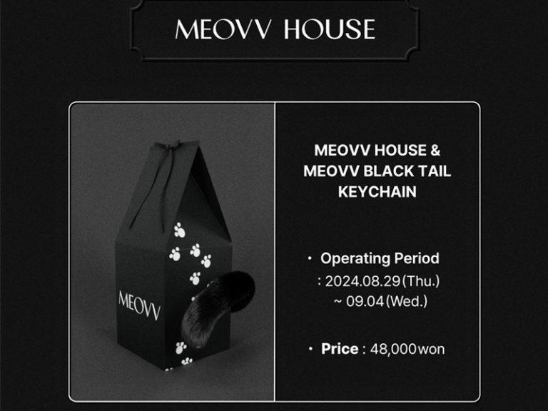 Be the Witness of New Kpop Legend Debut at MEOVV Pop-Up Store in Seoul ...