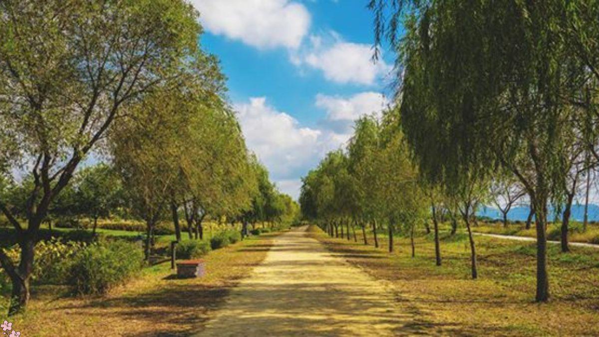 Experience the Beauty of the Korean Peninsula: Korea Dulle Trail ...