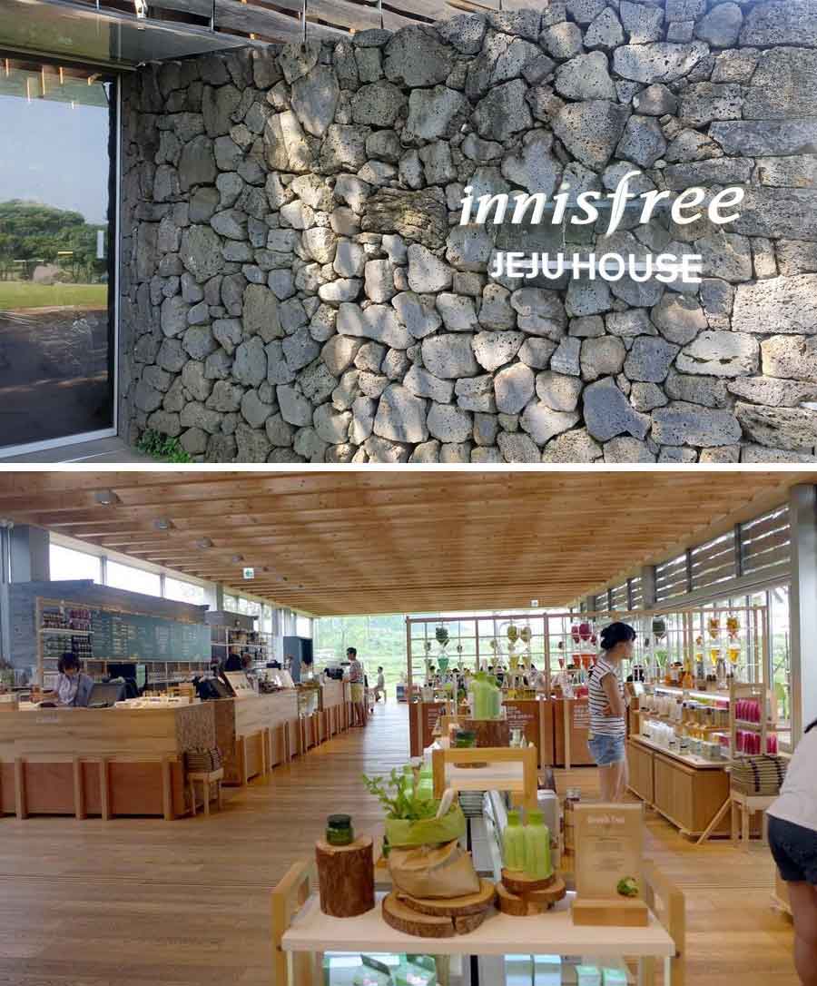 Things to Do in Jeju Island: Visiting the Popular OSULLOC Tea Museum | KoreaTravelPost