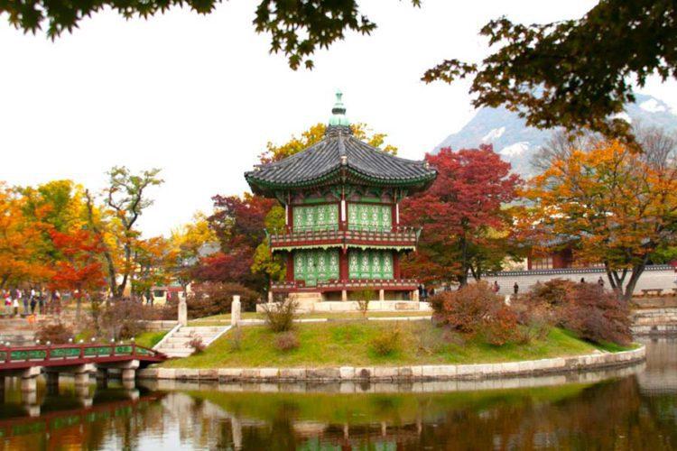 FULL 2024 Fall Foliage Forecast South Korea: Best Time to Visit Popular ...