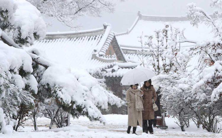 Navigating Seoul Heavy Snow in November 2024: What to Do? | KoreaTravelPost