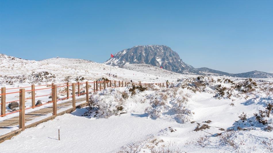 Heartfelt Attractions & Things to Do in Jeju Island During Winter ...