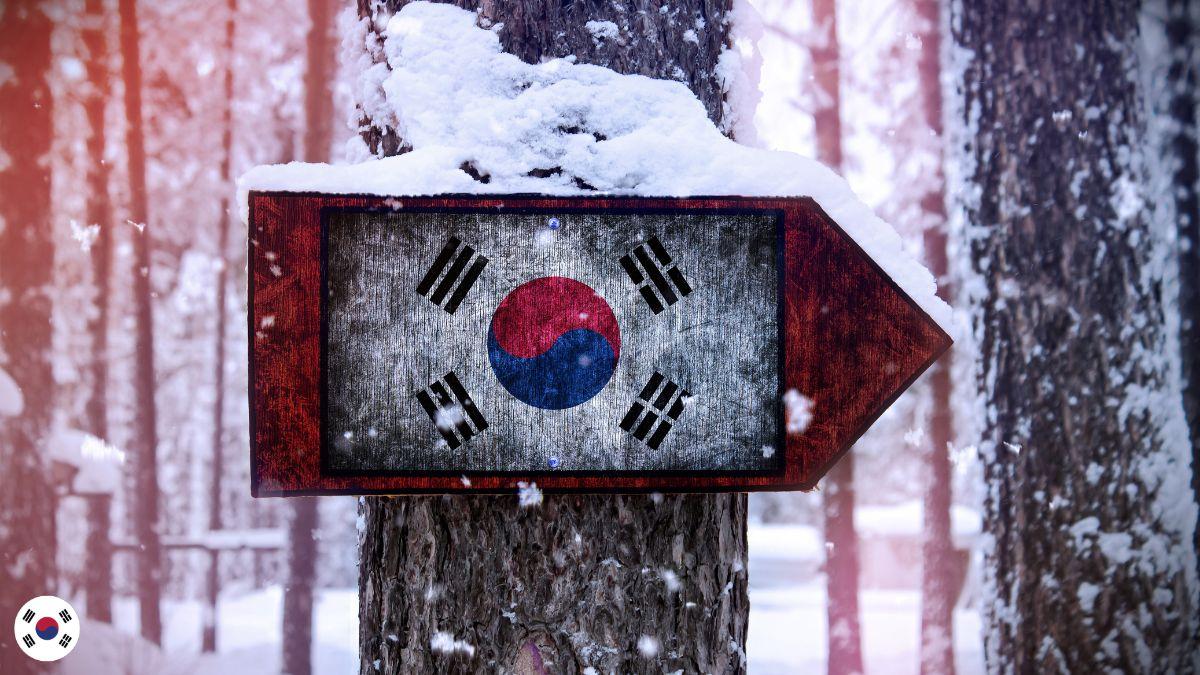 Winter in Korea: Top Activities, Festivals, and Sightseeing Spots for ...