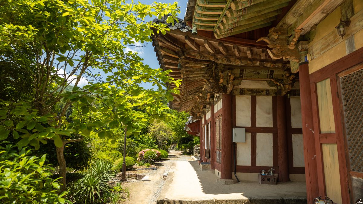 Best Hanok Cafes in Busan to Relax | KoreaTravelPost