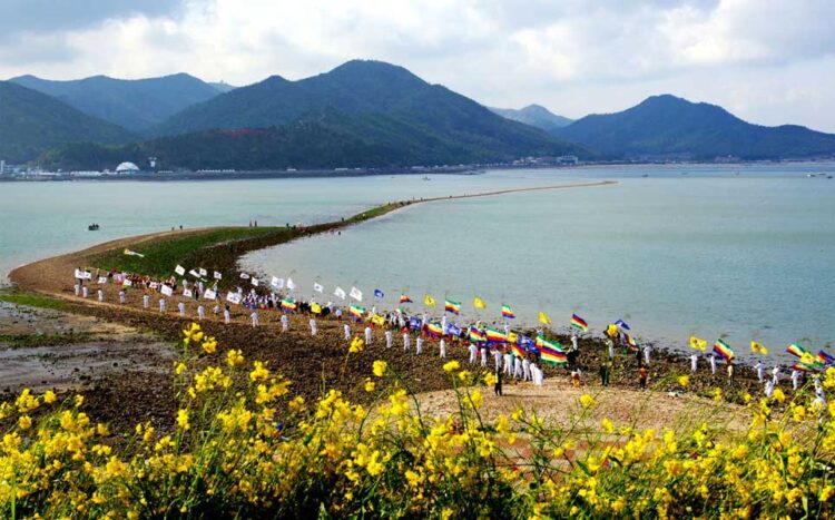 The “Moses Miracle”: Complete Guide to Jindo Sea Parting Road in South ...