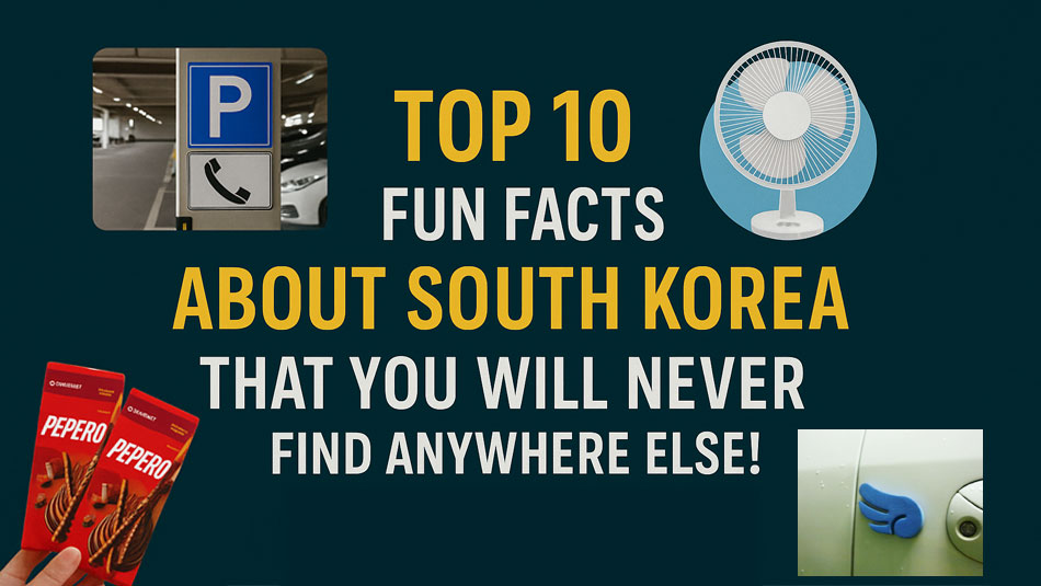 Fun Facts About South Korea